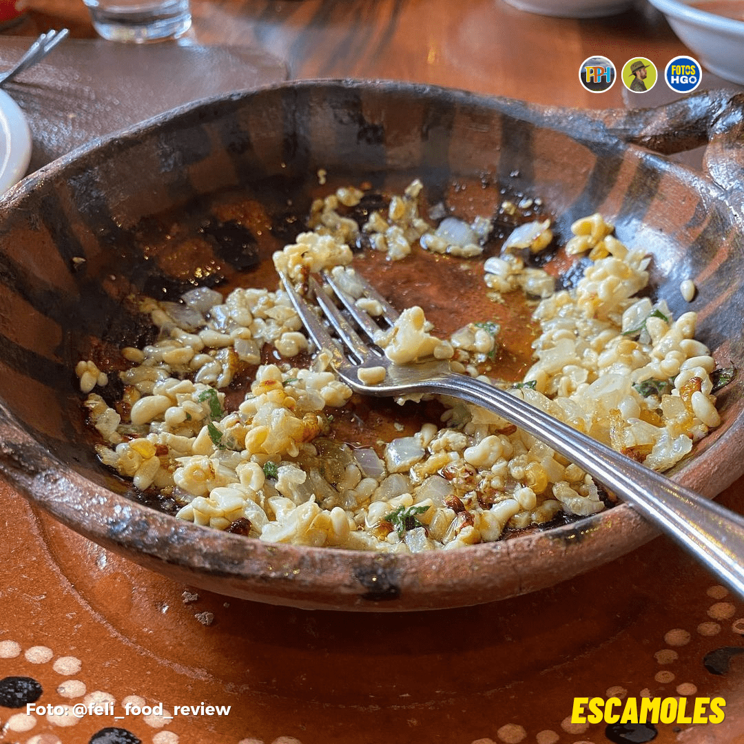 Los Escamoles: ¿Qué son y como se comen?